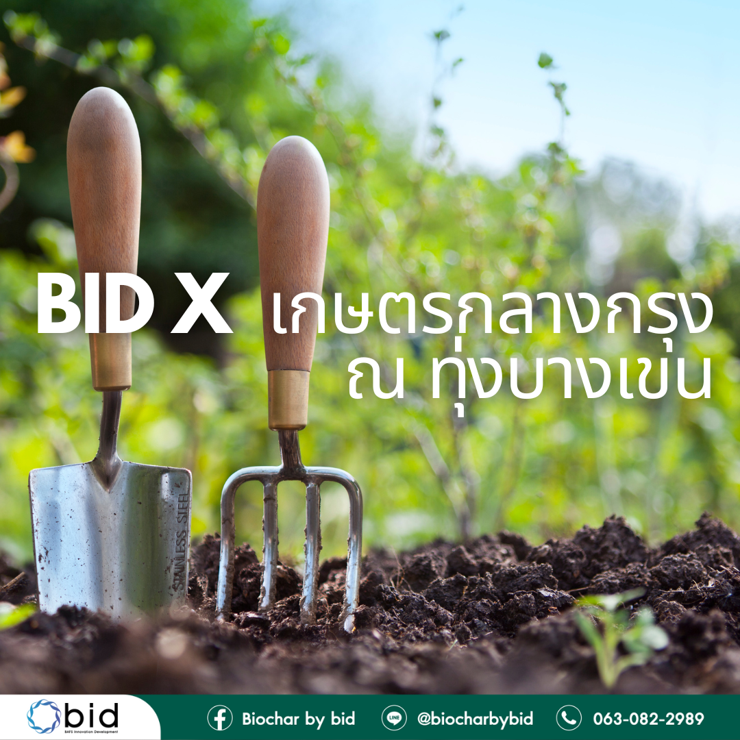 บทความ - BAFS Innovation Development