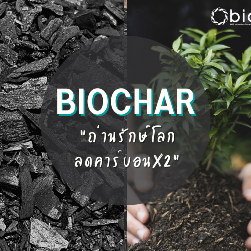 ไบโอชาร์ | Biochar - BAFS Innovation Development
